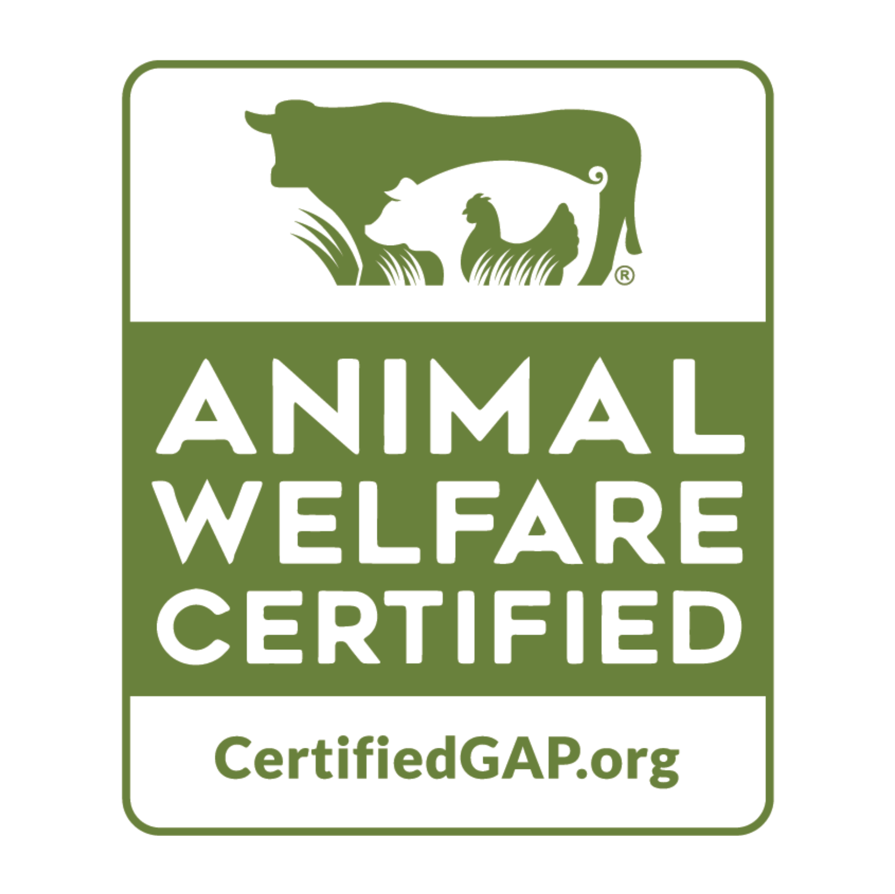 Mary's No Antibiotics Ever Boneless Turkey Breast - Mary's Turkey